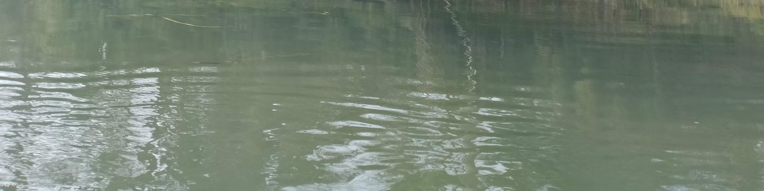 3 Days Exciting Jungle Safari Tour from Kathmandu/Pokhara - Klook Australia