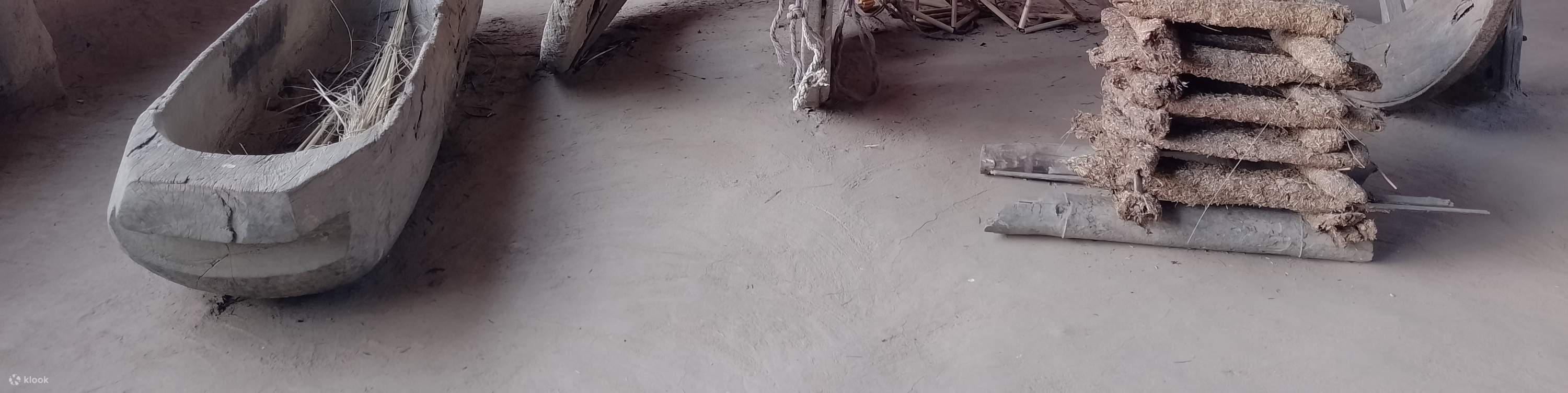 3 Days Exciting Jungle Safari Tour from Kathmandu/Pokhara - Klook Australia