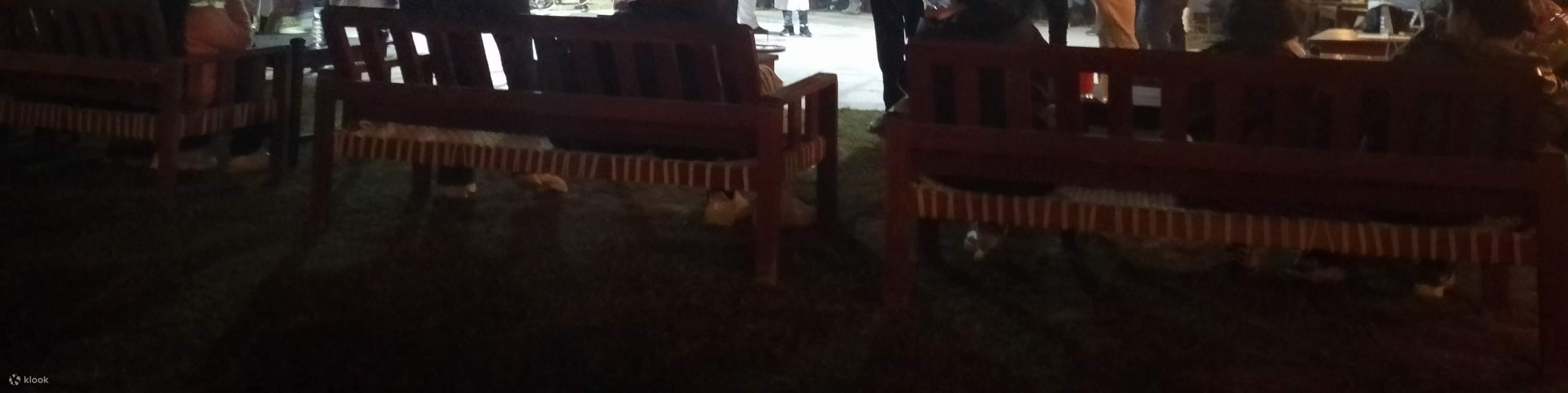 3 Days Exciting Jungle Safari Tour from Kathmandu/Pokhara - Klook Australia