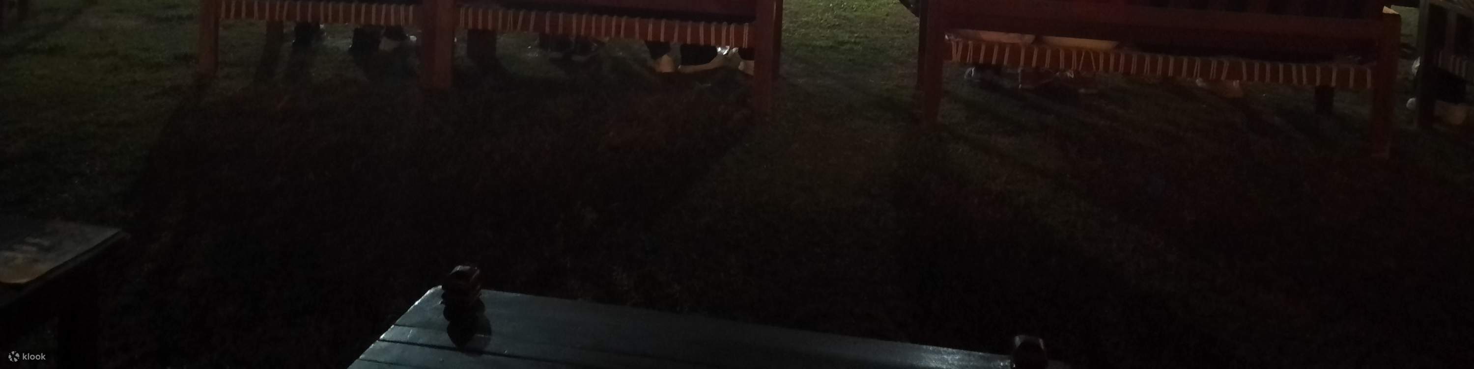 3 Days Exciting Jungle Safari Tour from Kathmandu/Pokhara - Klook Australia