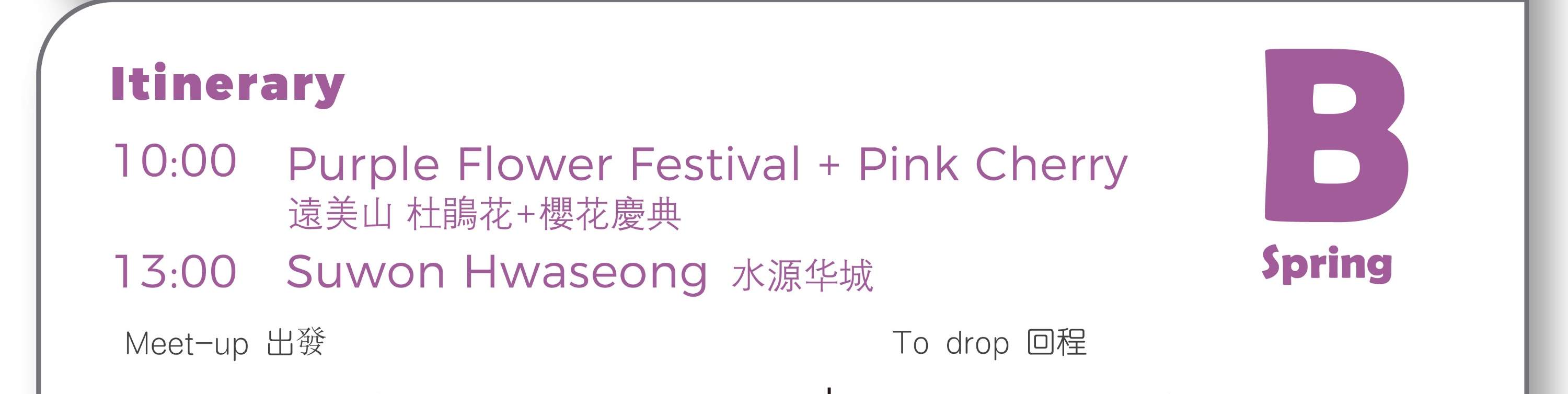 Cherry Blossom Suwon Hwaseong Fortress Tour from Seoul - Klook India