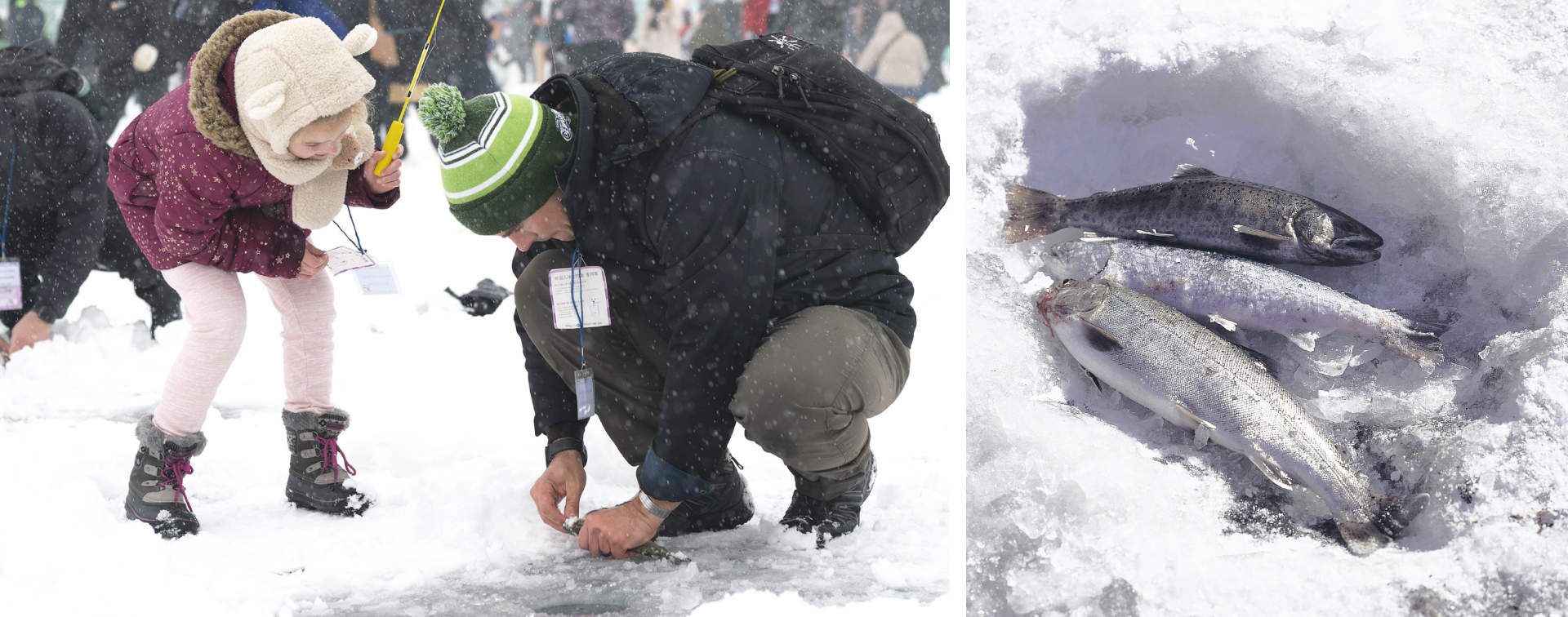 Hwacheon Sancheonfish Ice Festival & Eobi Ice Valley Tour from Seoul ...