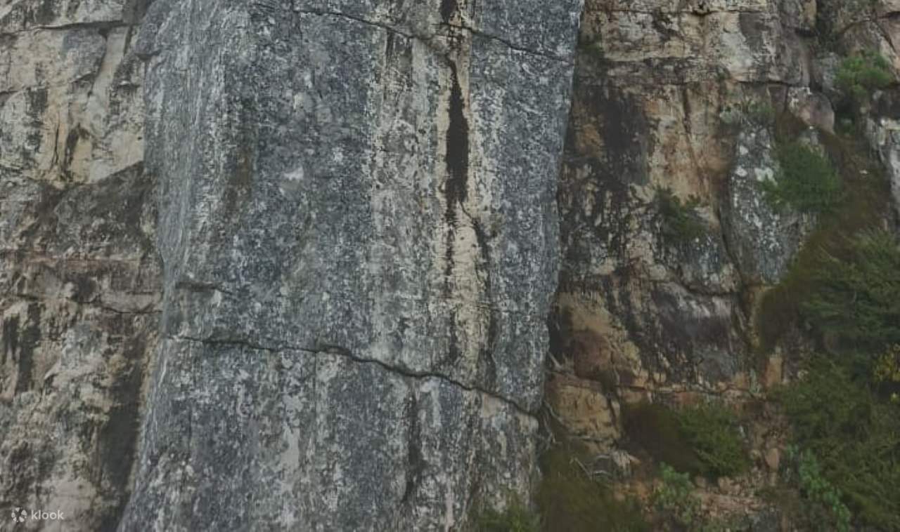 Hike Table Mountain Cape Town - Klook Australia