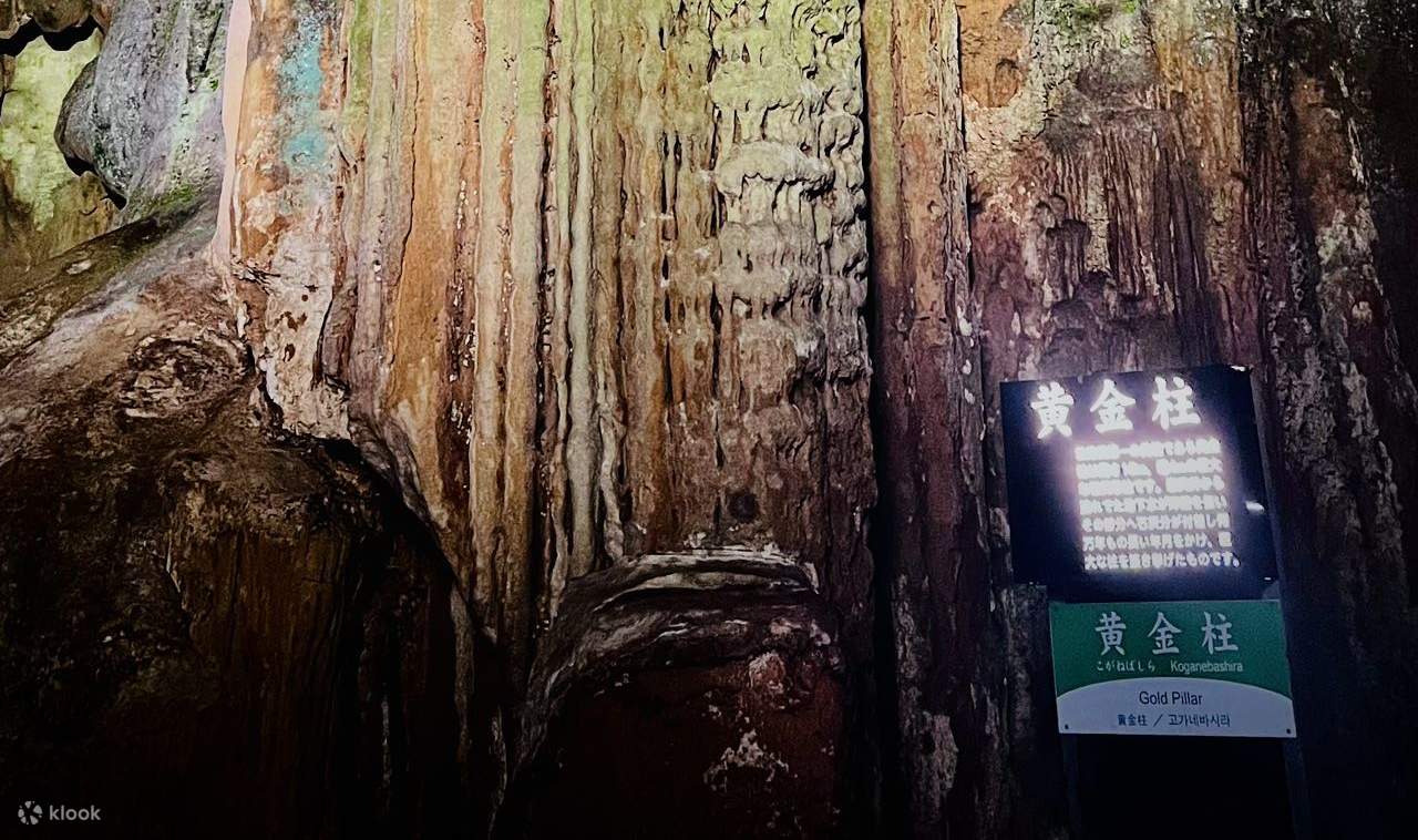 Akiyoshido Cave, Motonosumi Shrine & Tsunoshima Bridge Day Trip ...