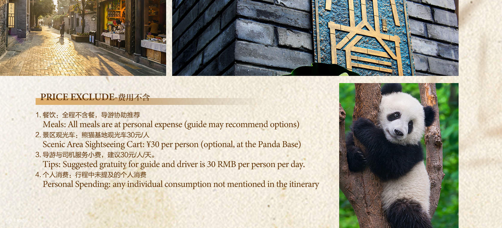 Chengdu Panda Base + Kuanzhai Alley 1-Day English Tour - Klook