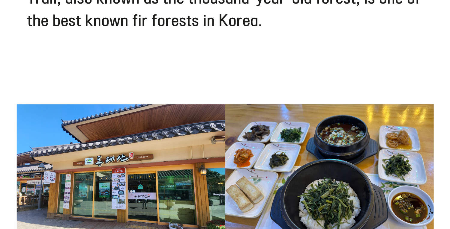 KTX ONE DAY TOUR IN THE SOOP - Klook