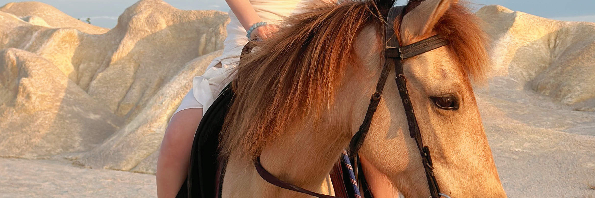 Bintan Mangrove/Safari Lagoi/Sand Dune and Blue Lake/Snorkeling Tour ...