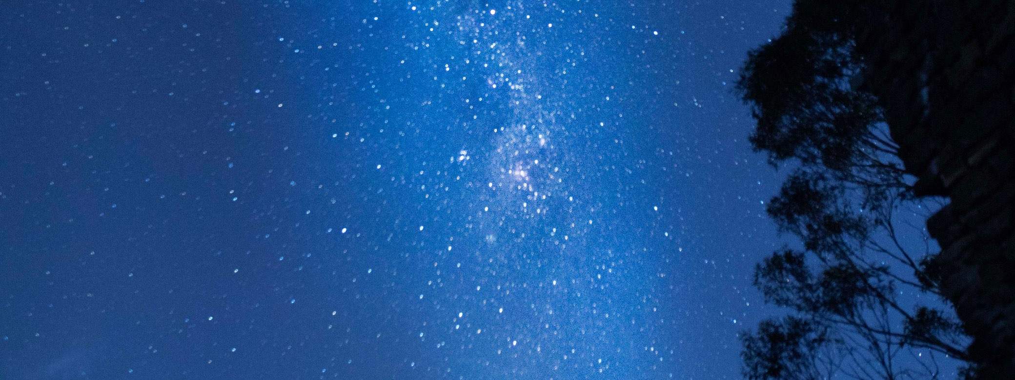 Starry Night Blue Mountains and Sydney Zoo Day Tour - Klook