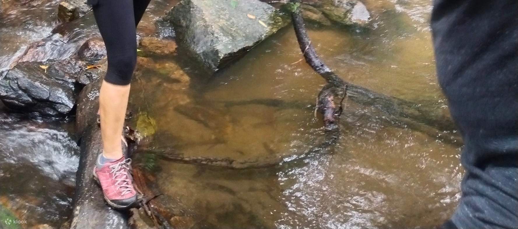 Caminata de Aventura en el Parque Nacional Doi Suthep Pui - Klook ...