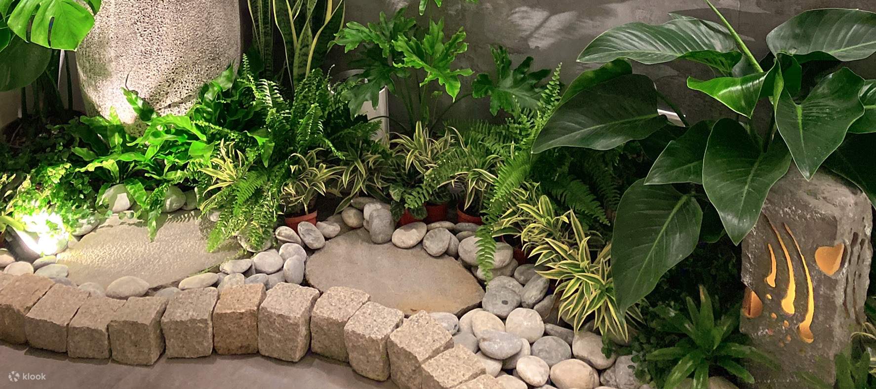 Taipei Han Yang SPA | Massage Voucher - Klook