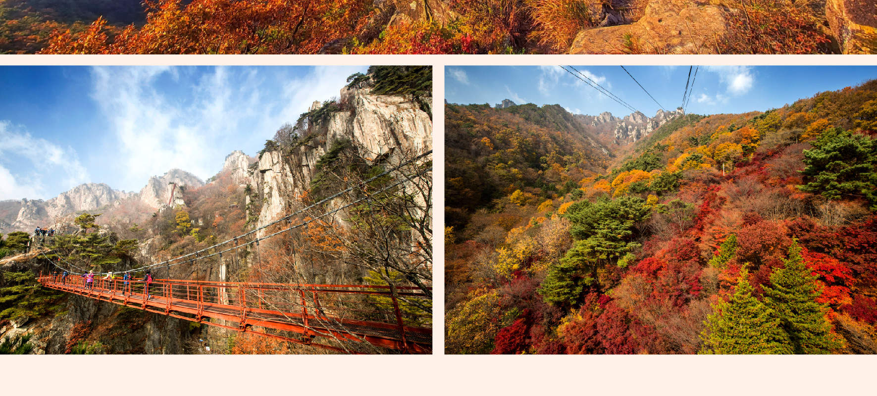 Daedunsan Autumn Maple Day Tour from Seoul - Klook Philippines