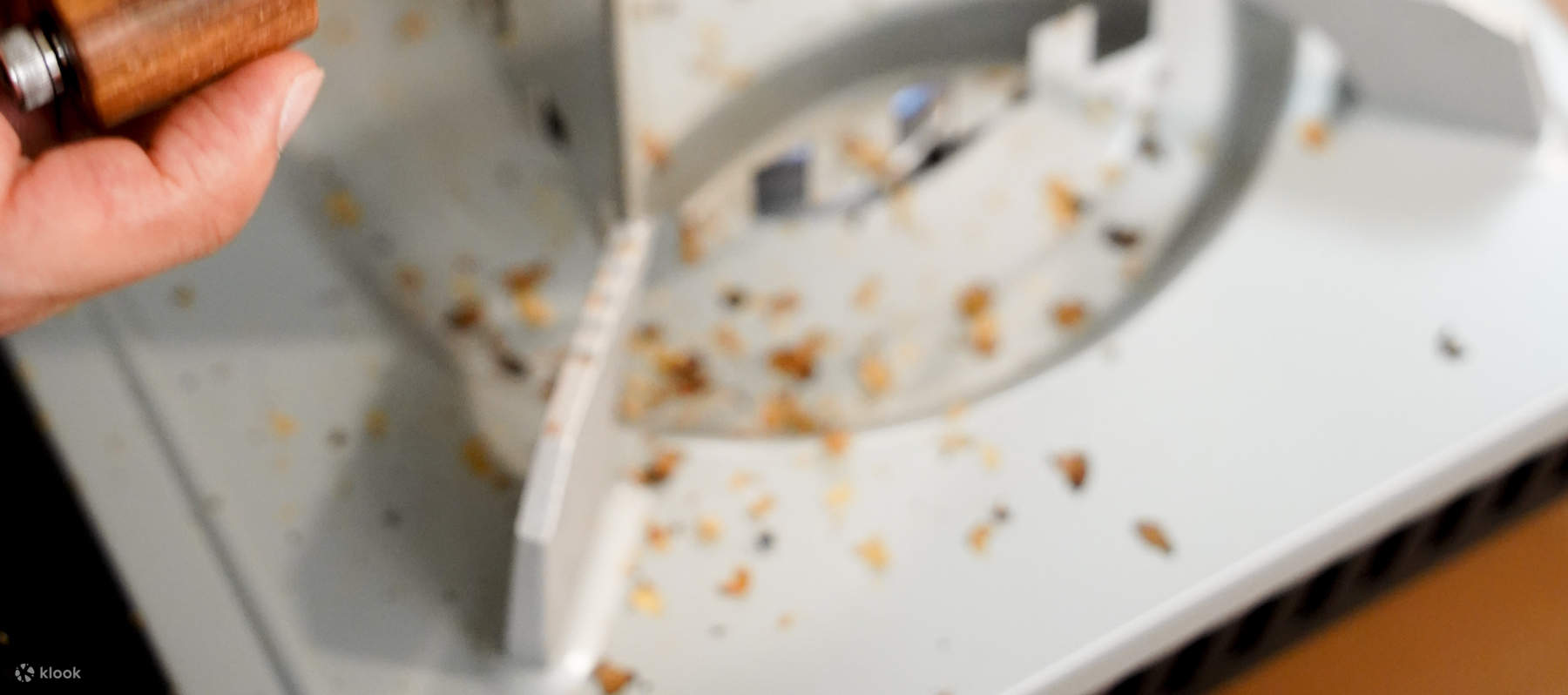 Kelas Pengalaman Memanggang Kopi Spesial dan Menuang Kopi dengan Tangan ...