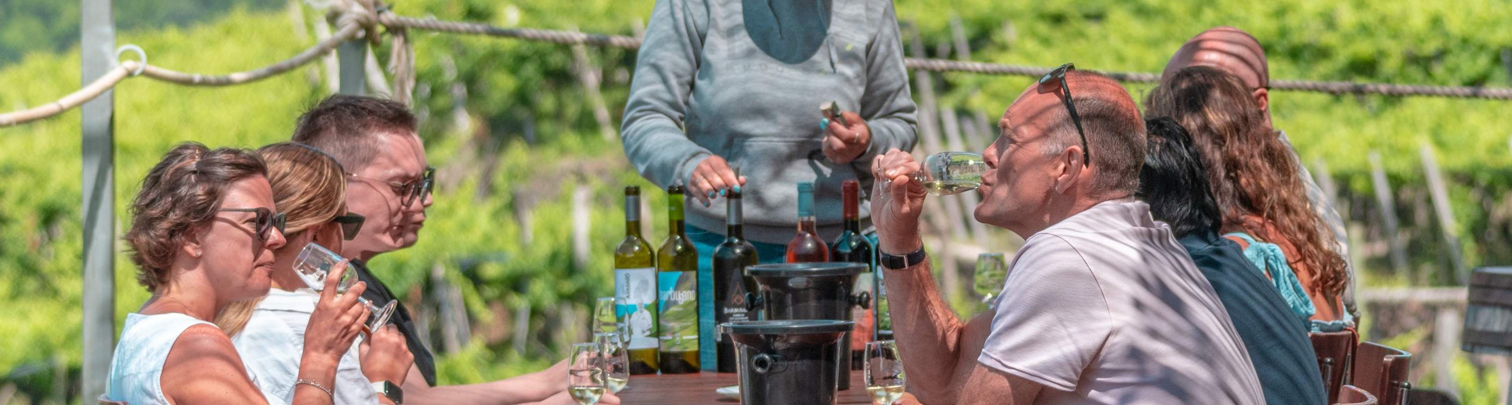 Experience the Thrill of SKYWALK and indulge in a Professional Wine ...