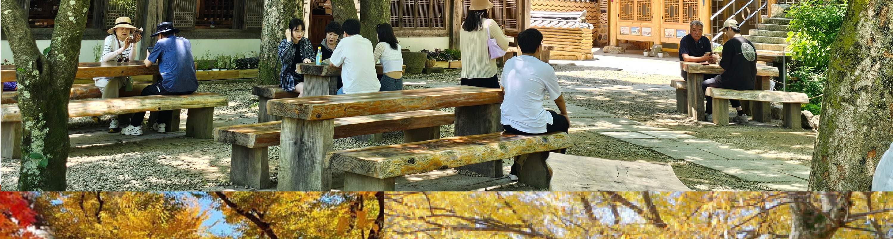 DMZ and Ganghwa Island Day Tour from Seoul - Klook Australia