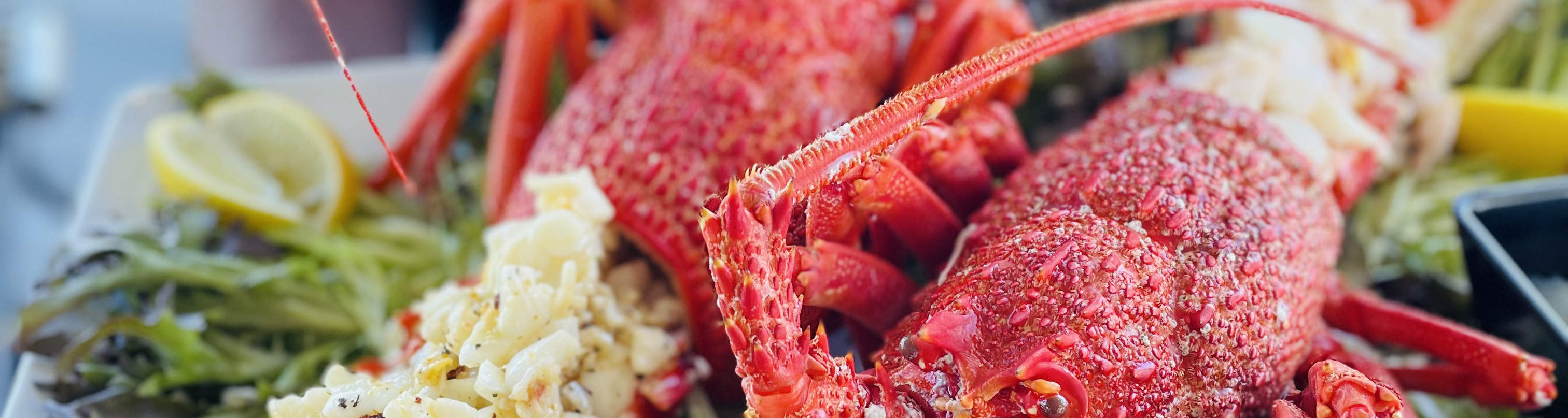 Deep-to-Dish: Tasmanian Seafood Cruise from Hobart - Klook Hong Kong