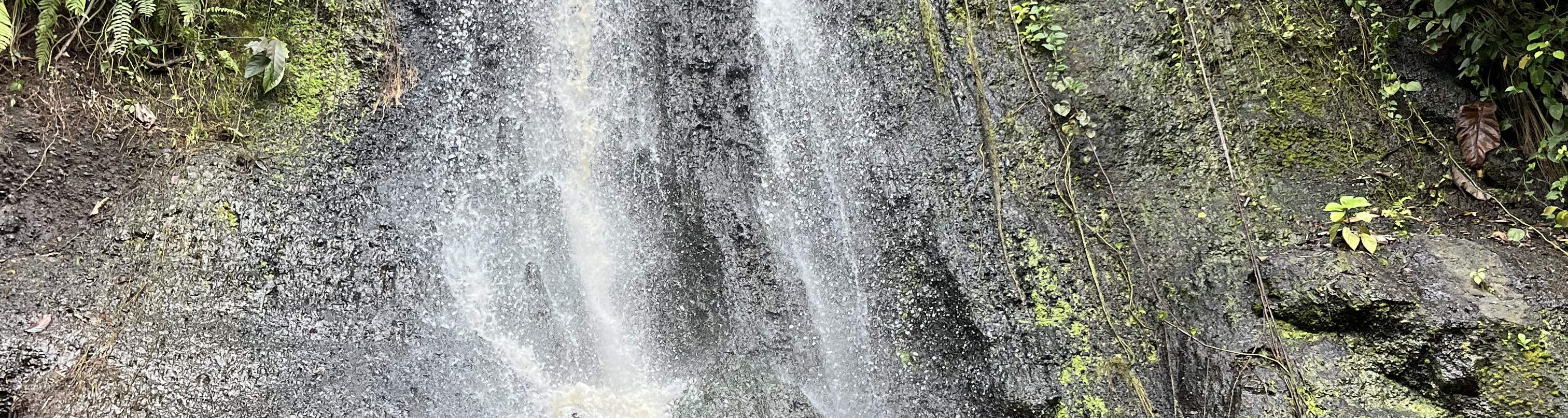 Tubing Experience in Ubud by Wos Tubing Adventure - Klook Singapore