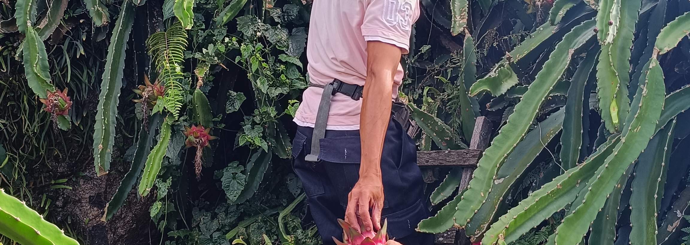 Jim's Vegetable Farm Ticket in Cameron Highlands - Klook United Kingdom