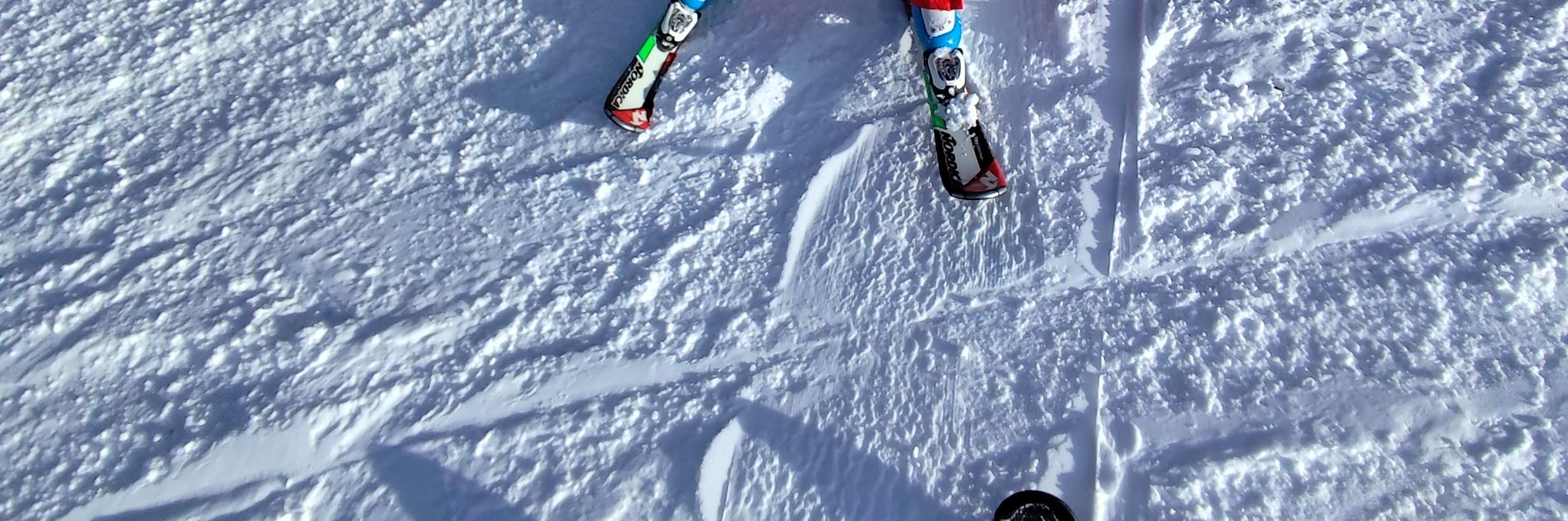 Private Ski Lessons at Alpensia resort with Professional Instructor ...