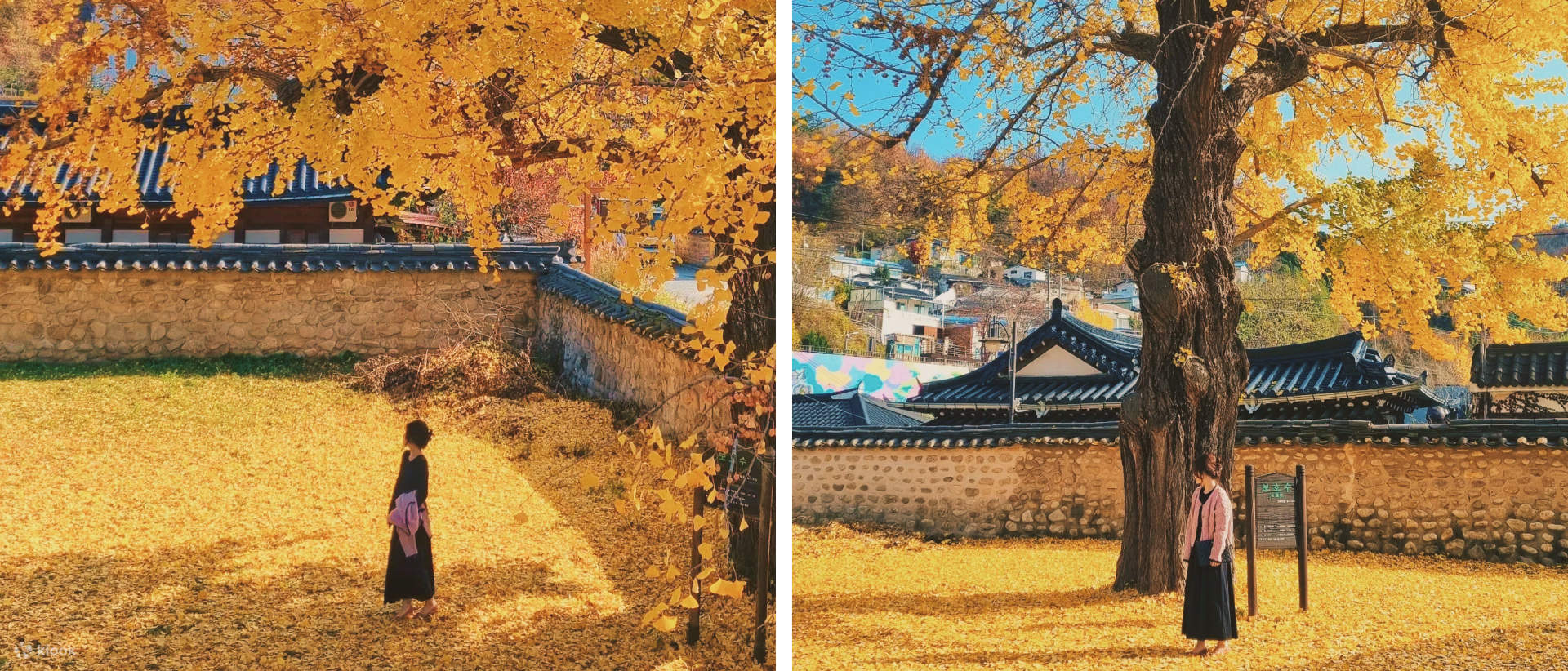 Jeonju Hanok Village & Seasonal Popular Attractions Day Tour - Klook