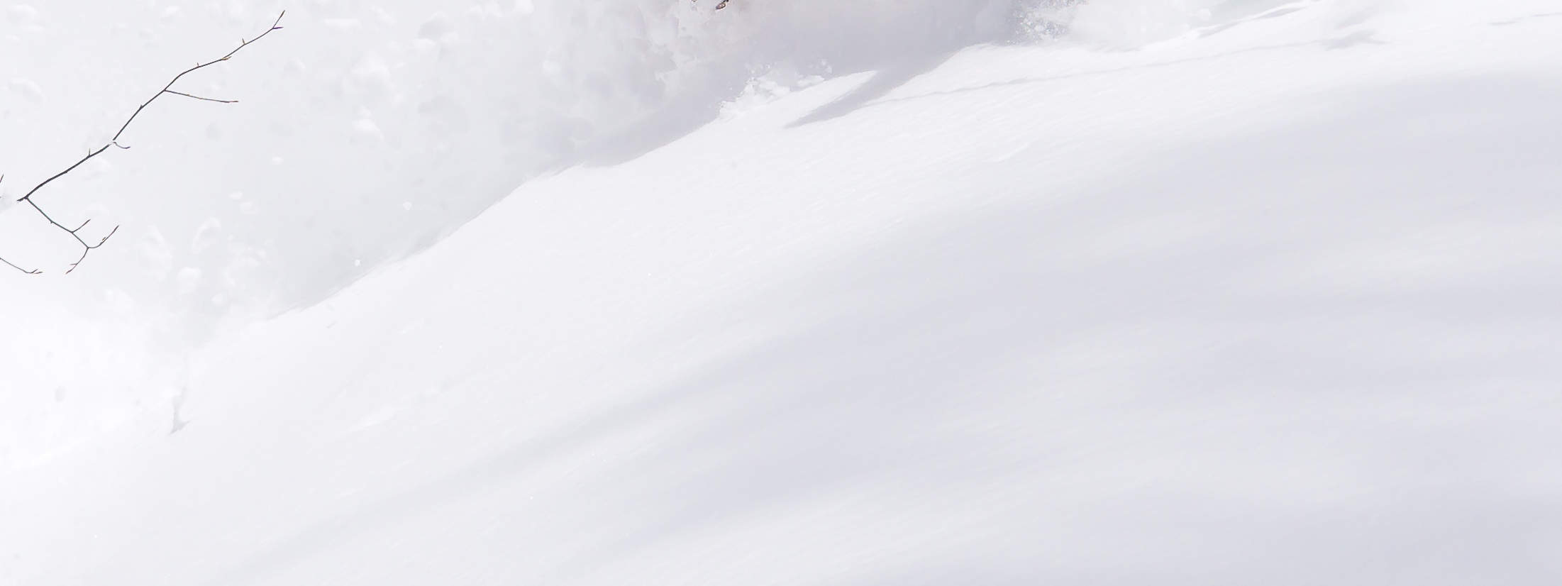 4 Hour Private Ski or Snowboard Lesson in Shiga Kogen - Klook