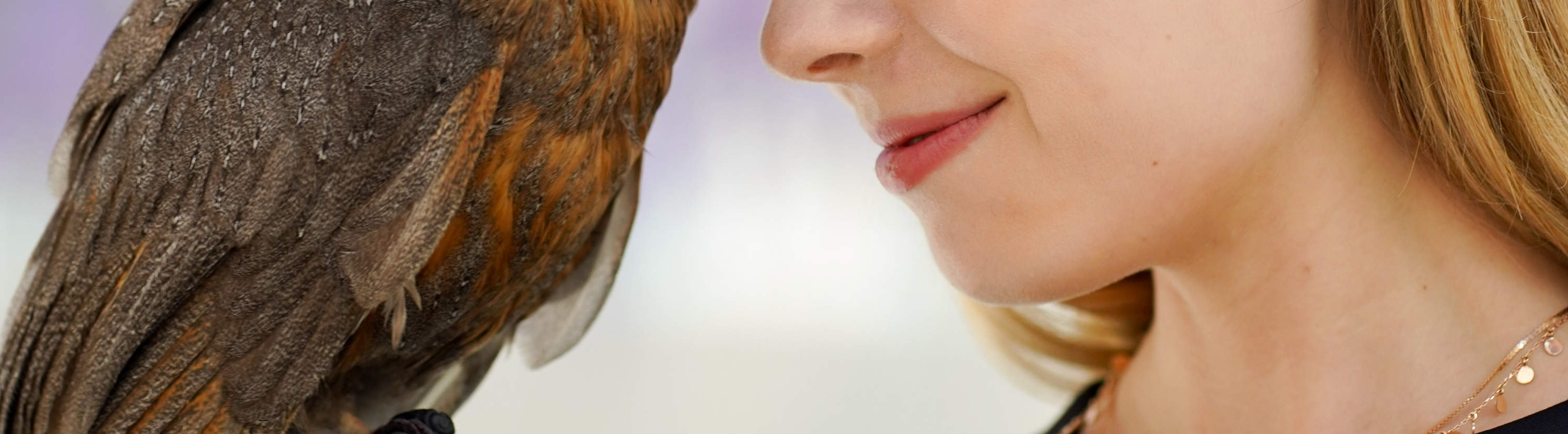 Gyeonggi Begonia Bird Park Ticket - Klook United States