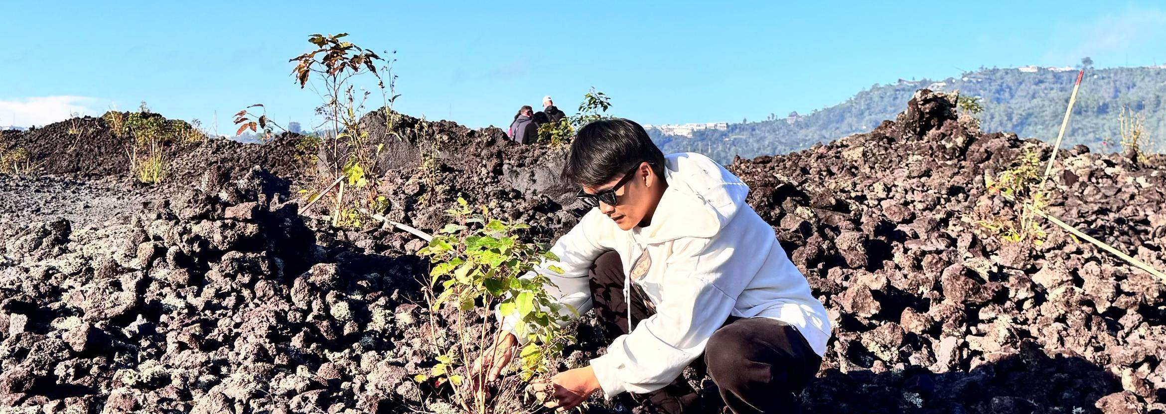 Eco Adventure, Mount Batur Sunrise Jeep, and Tree Planting Private Trip ...