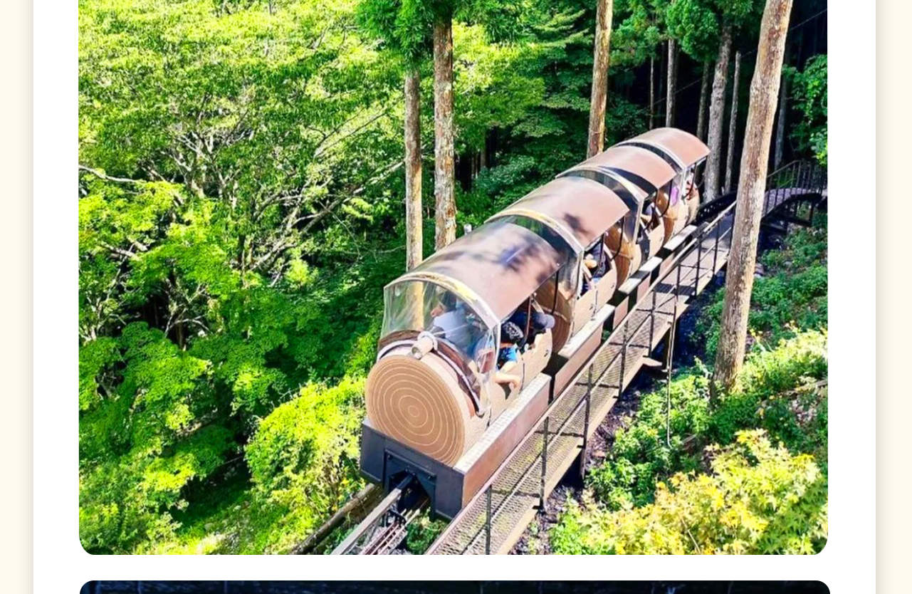 Tenkawa Village, Tenkawa Shrine & Limestone Cave Train Day Trip (From ...