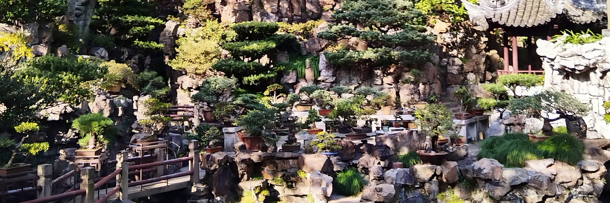 Shanghai Yu Garden Professional Guide + Chinese Tea Experience Tour ...