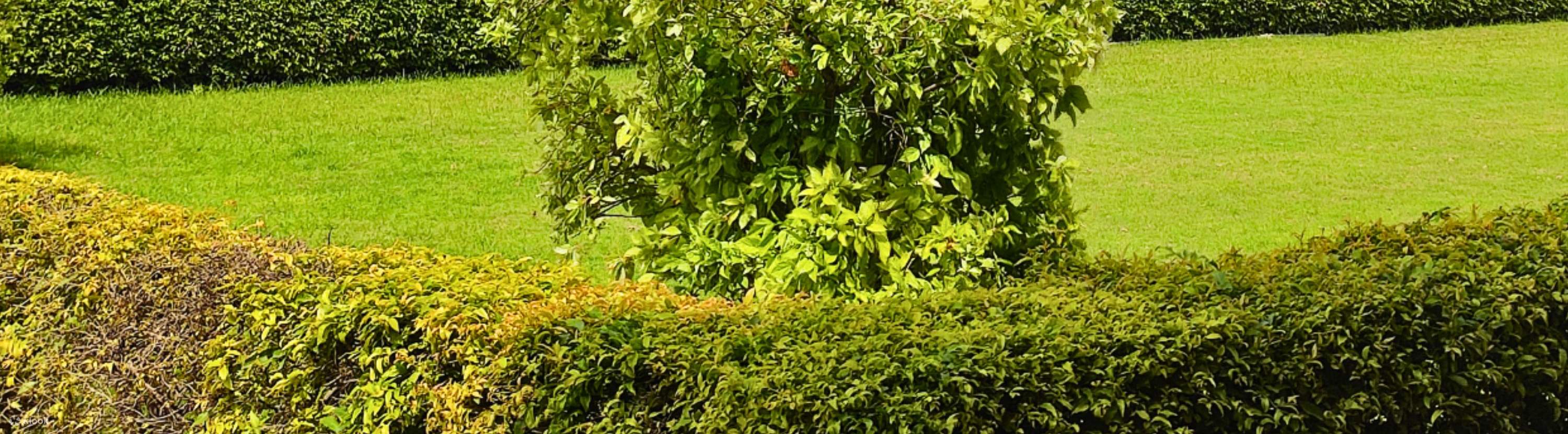 Same Day Udaipur Tour From Jodhpur with Transfer-2D1N - Klook New Zealand