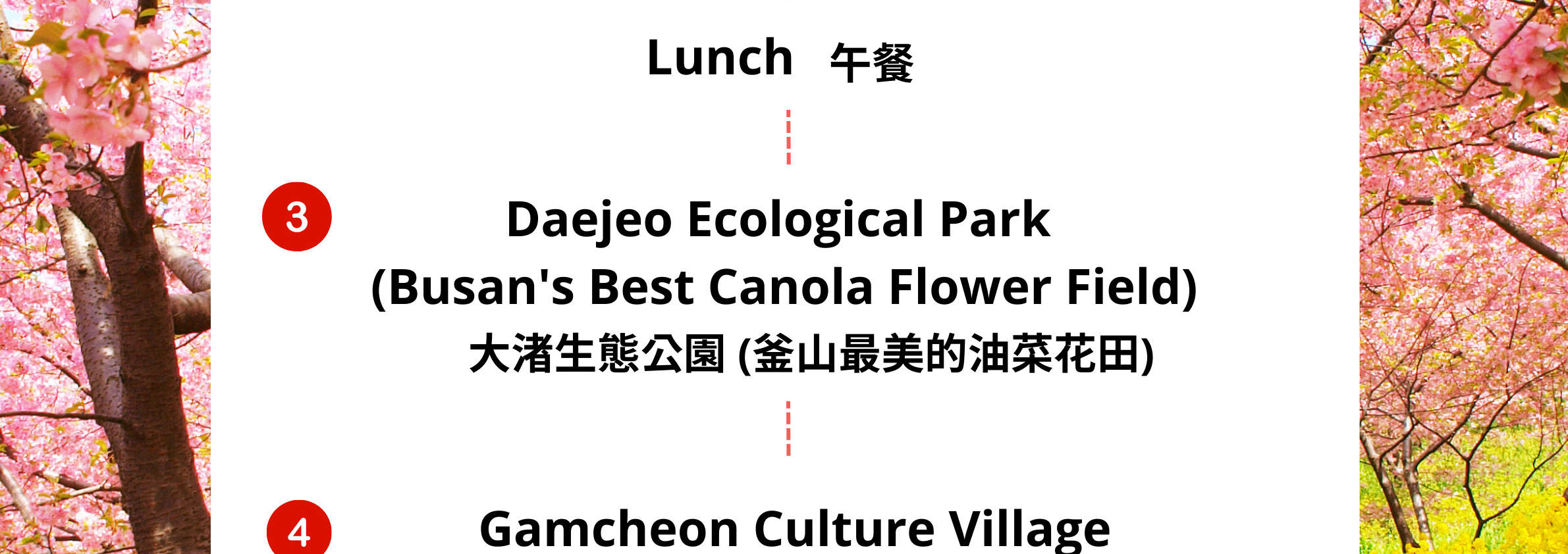 Busan City Cherry Blossom Tour with Top Attractions - Klook Hong Kong