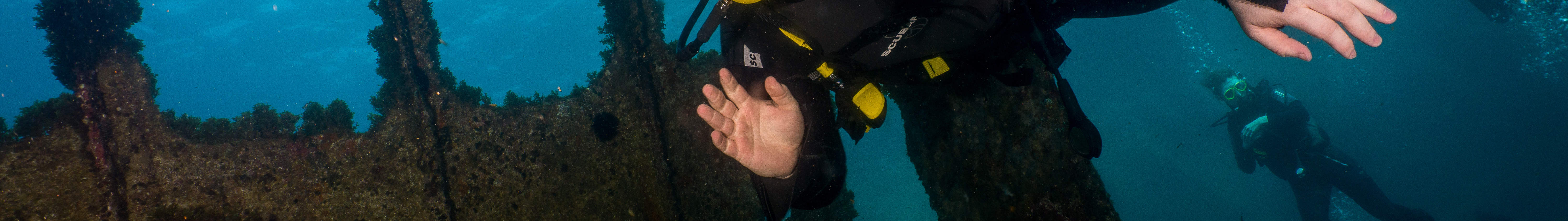 Forfait 4 plongées (en bateau) aux îles Canaries avec PADI 5 Star IDC ...