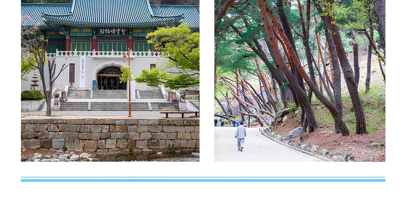 [BTO 獨家] 蔚山 & 梁山一日遊（釜山出發） - Klook 客路