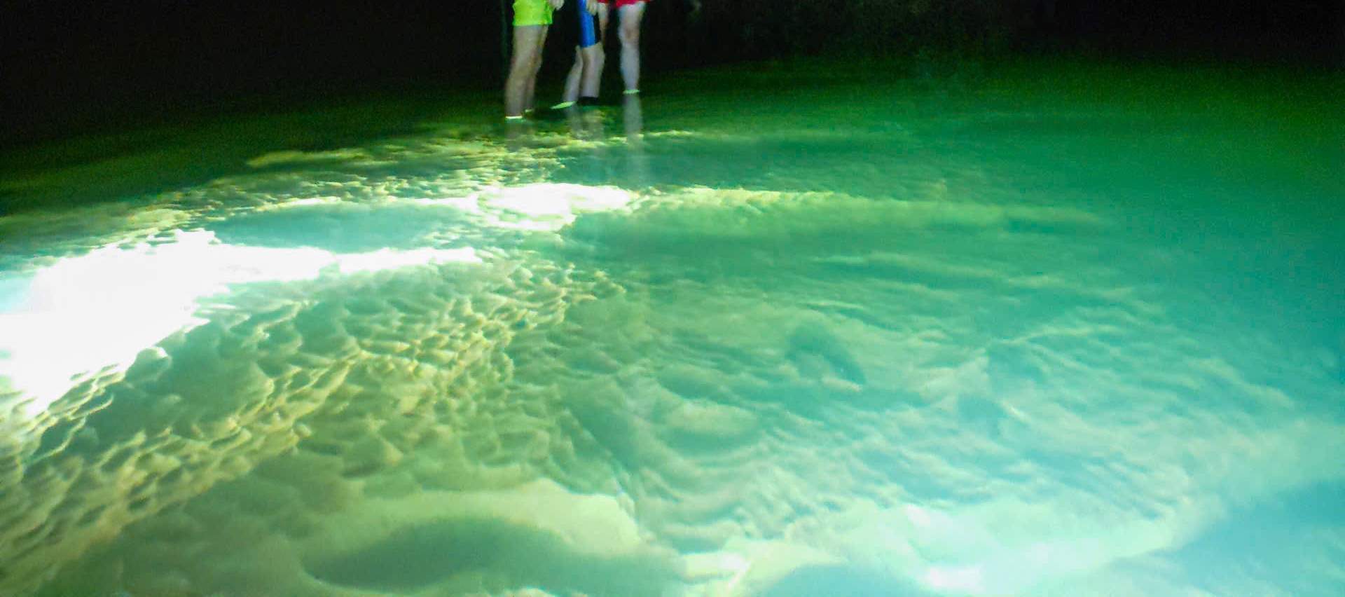 Tra Ang Cave Excursion Trekking Day Tour from Phong Nha - Klook