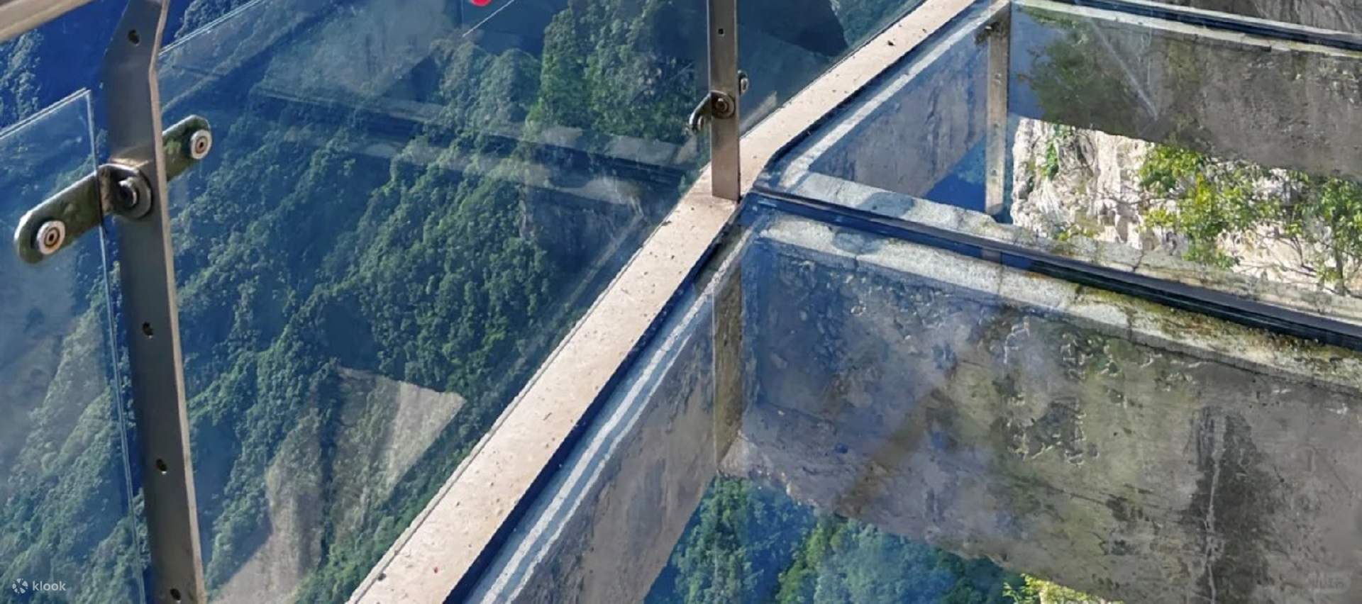 Tour approfondito di un giorno al Parco Forestale Nazionale di ...