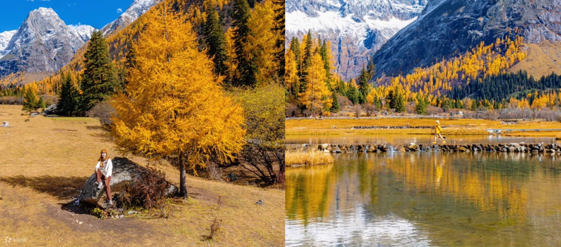 2-Day Tour to Mount Siguniang, Chengdu, Sichuan (Shuangqiao Valley ...