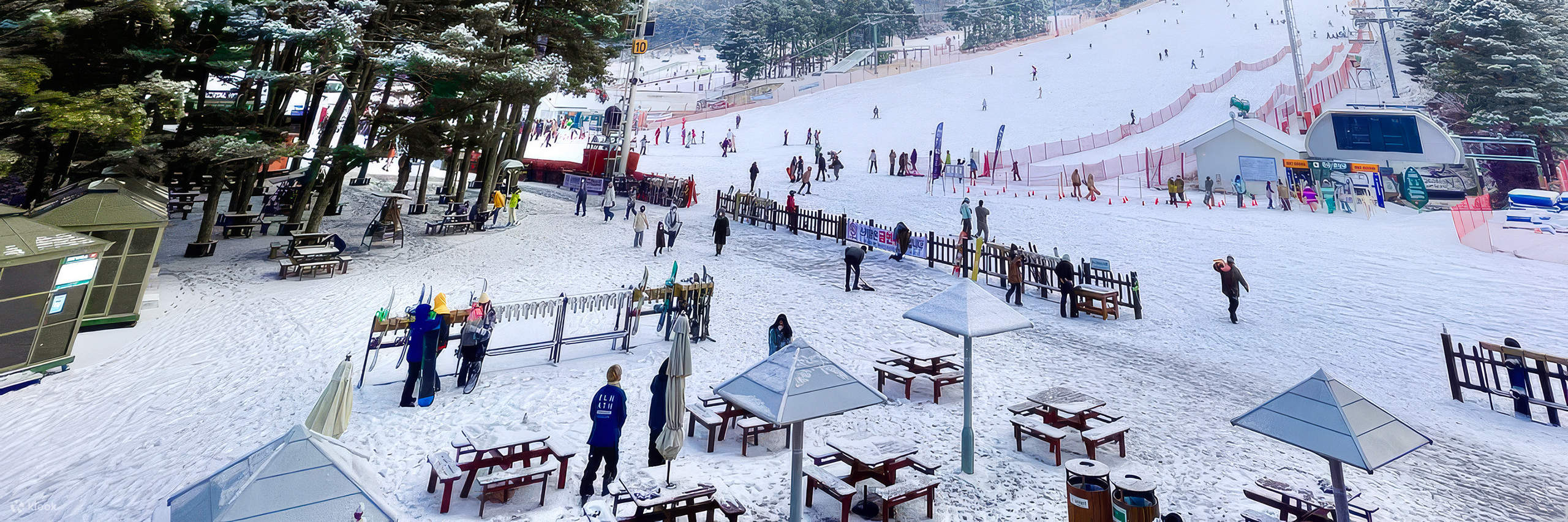 Jisan Forest Ski Resort Sightseeing Trip and Winter Sports Experience ...