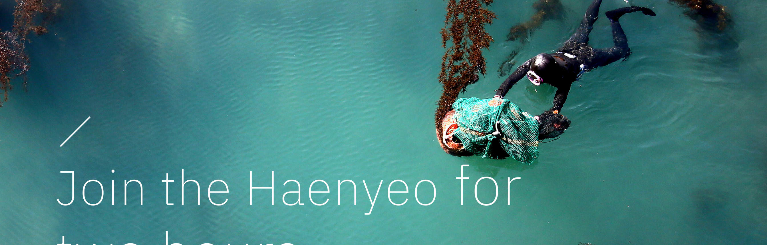 Experience Haenyeo Diving : Female Divers in Jeju - Klook United States