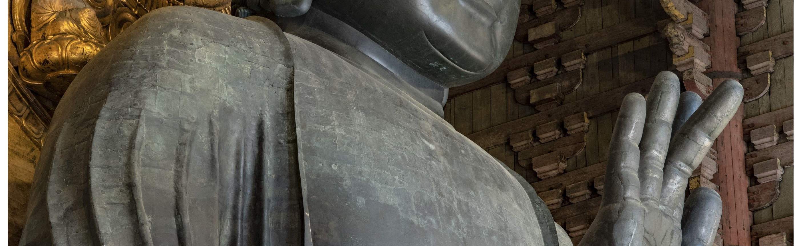 English guided sightseeing bus "Perfect Nara Park Tour" - Klook