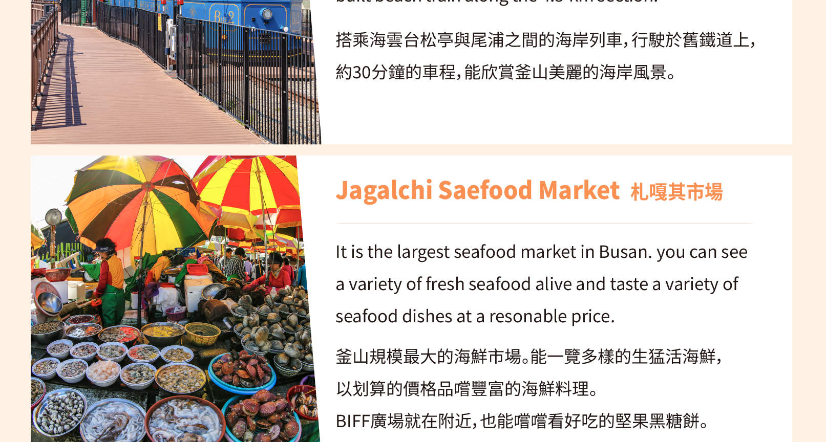 Busan Must-visit 1 Day Tour : Blue line Sky Capsule & Beach Train - Klook