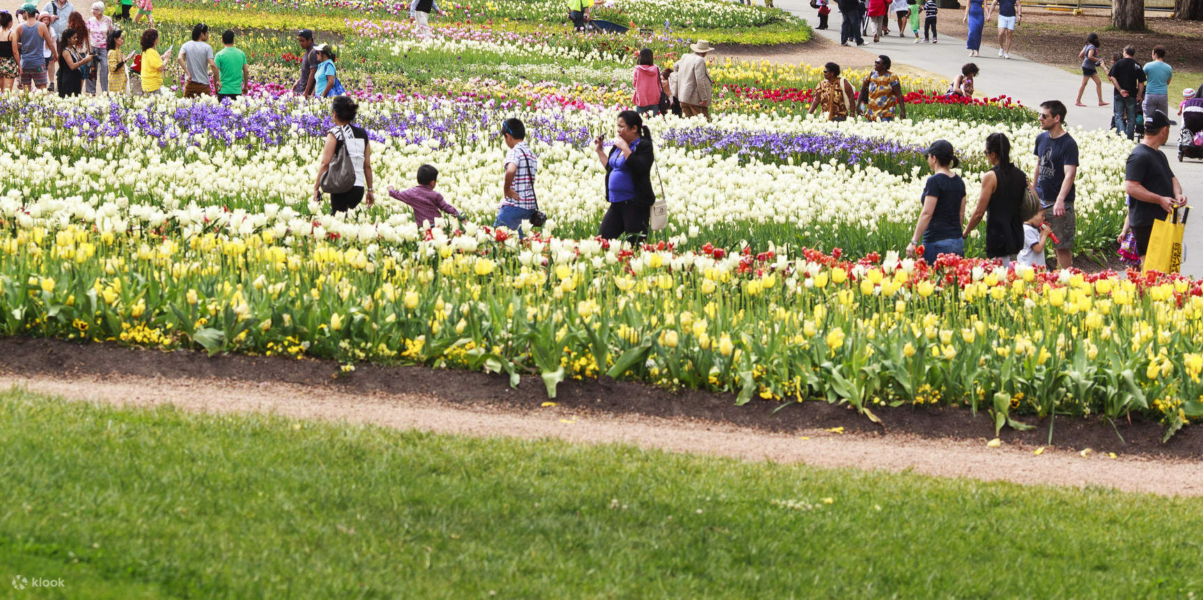 Canberra One Day Tour - Klook