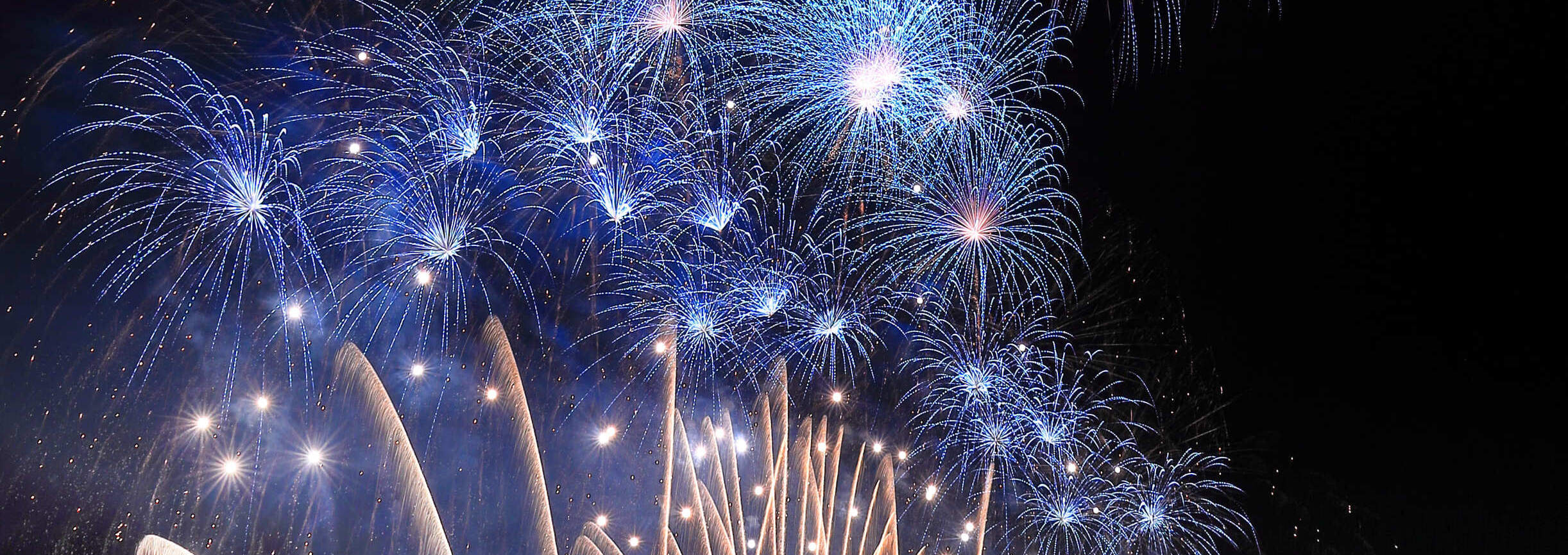 The 37th Yatsushiro National Fireworks Competition One-day Tour ...