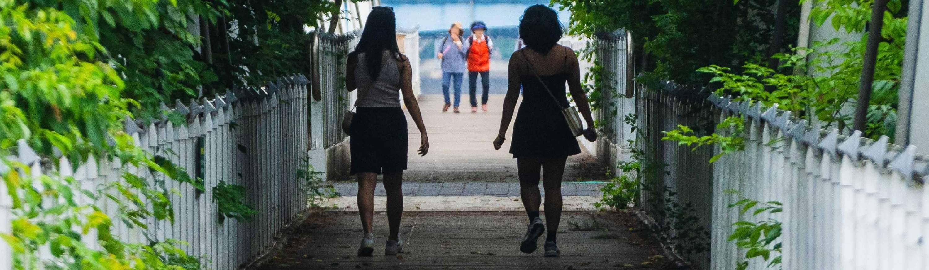 2024 Yeongdong Daero K-POP Concert Tour Package - Klook India