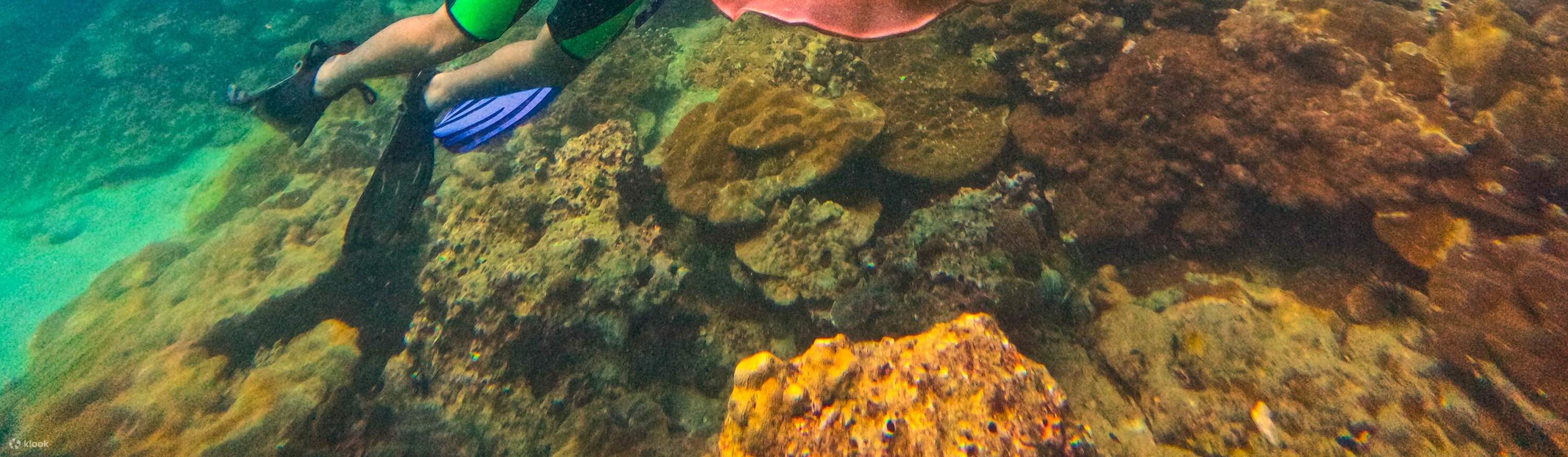 Join In Cat Island Phuket Scuba Diving, Snorkeling Half Day in Phuket ...