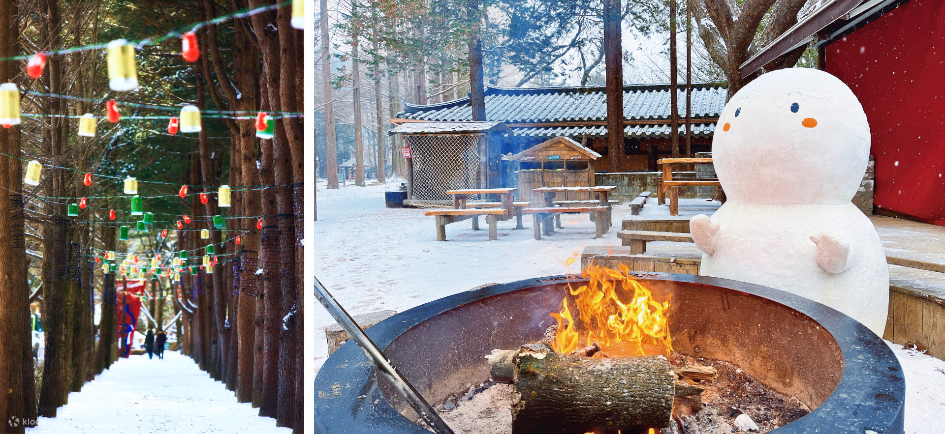 Winter Day Tour: Seorak Frozen Town & Strawberry Picking & Snow Sled ...