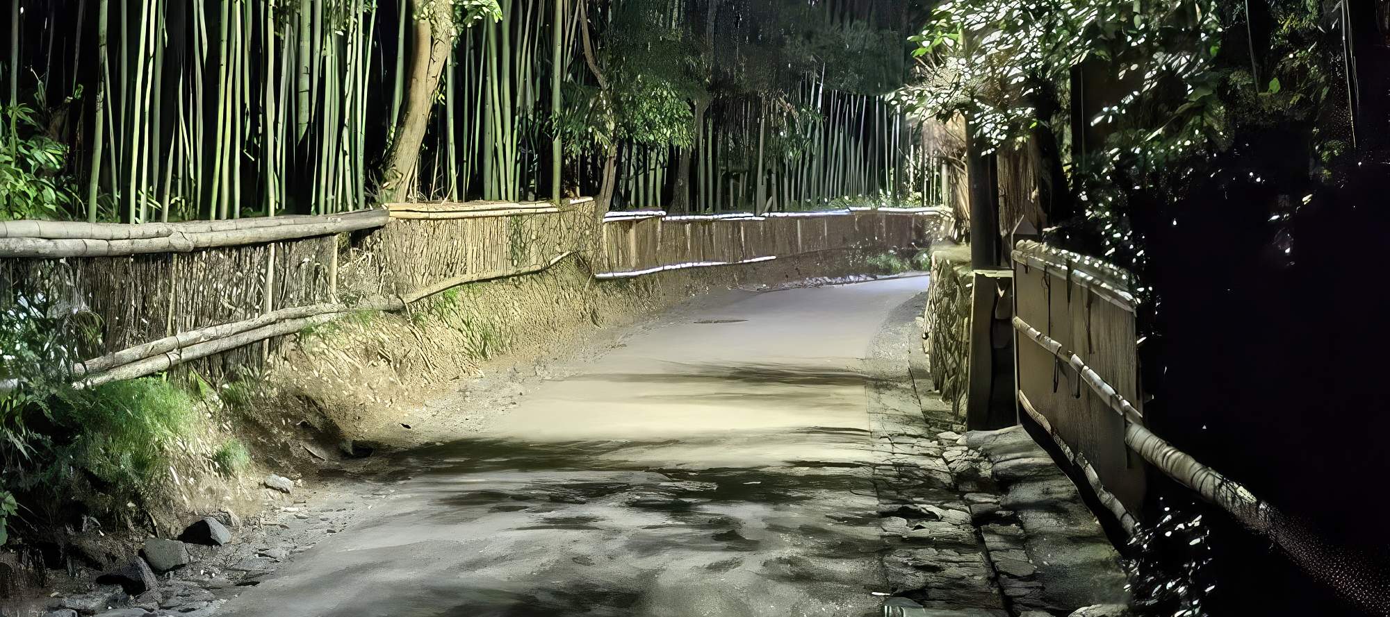 Kyoto City, Arashiyama Ghost Hunting Night Tour - Klook