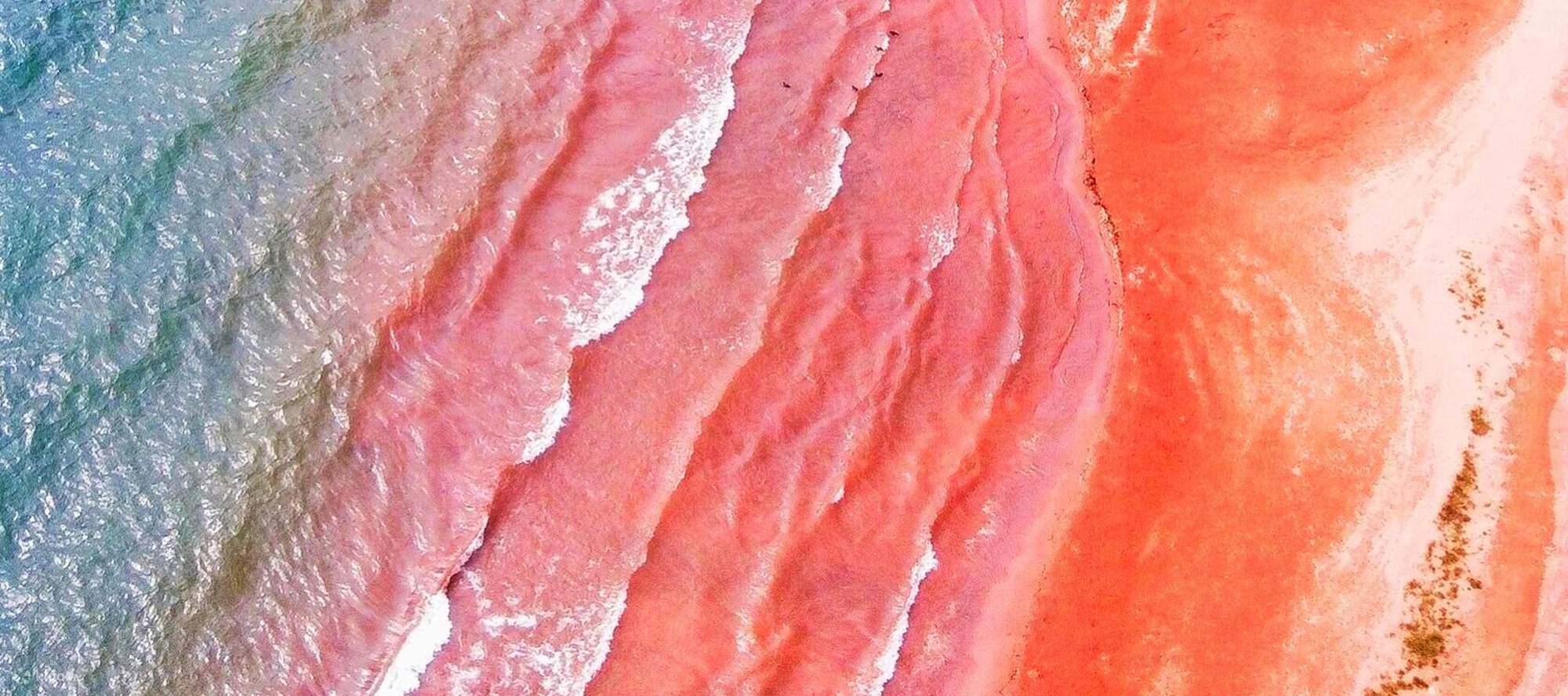 Pure Fuxian Lake Day Tour in Yunnan (Fuhai Bay Wetland Park + Hongzui ...