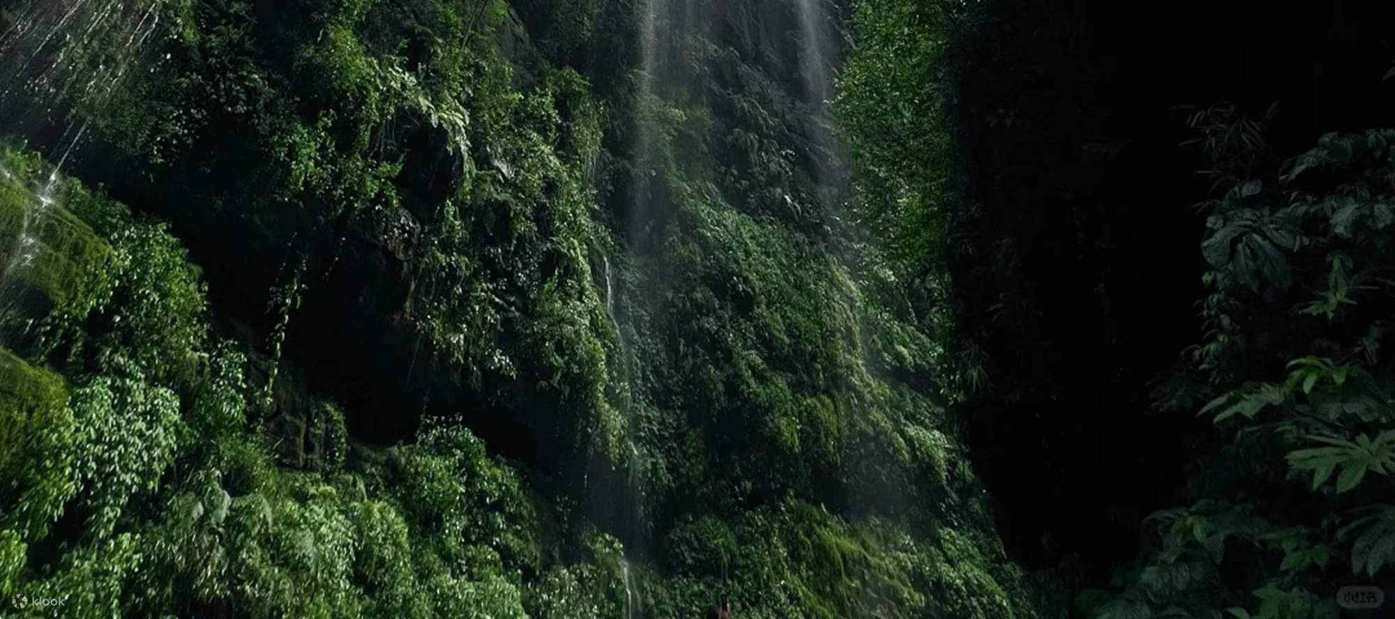 Full-Day Panoramic Tour of Mount Emei, Sichuan (The Eminence of Emei ...