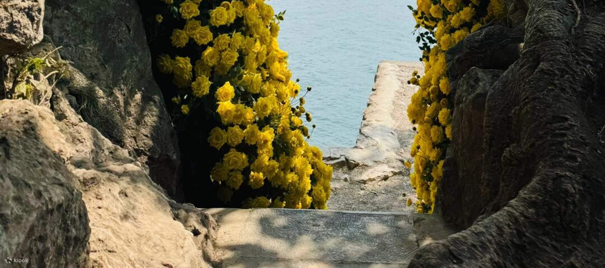 Pure Fuxian Lake Day Tour in Yunnan (Fuhai Bay Wetland Park + Hongzui ...