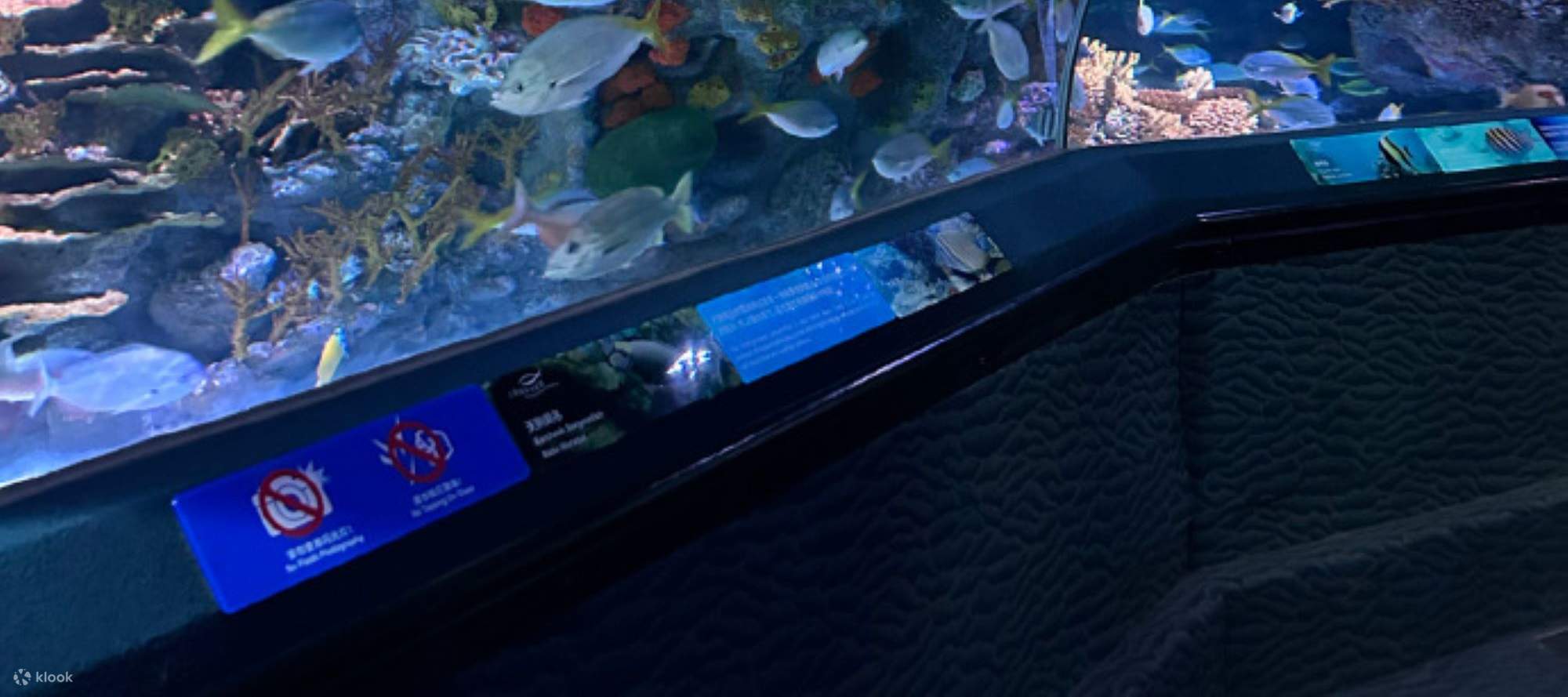 Shanghai Luxury One-Day Tour (All Tickets Included + Oriental Pearl ...