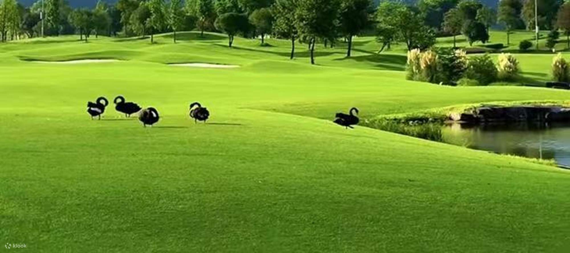 5-Day Guilin & Guangxi Wonders Tour (Small Group 2-8 People + Longji ...